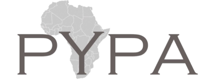 PYPA – Program for Young Politicians in Africa – KIC Sweden